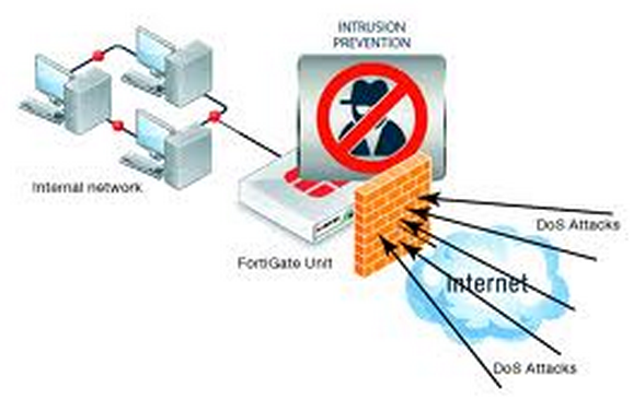 Cybercrime: Denial of Service Attacks