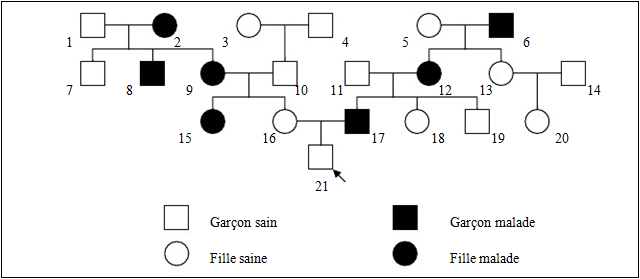 Exercices corrigés en génétique humaine - Bio faculté