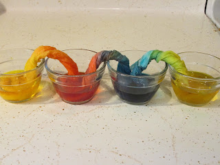 walk in the sunshine: Colored Water Experiment