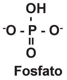 versociencia: mayo 2013