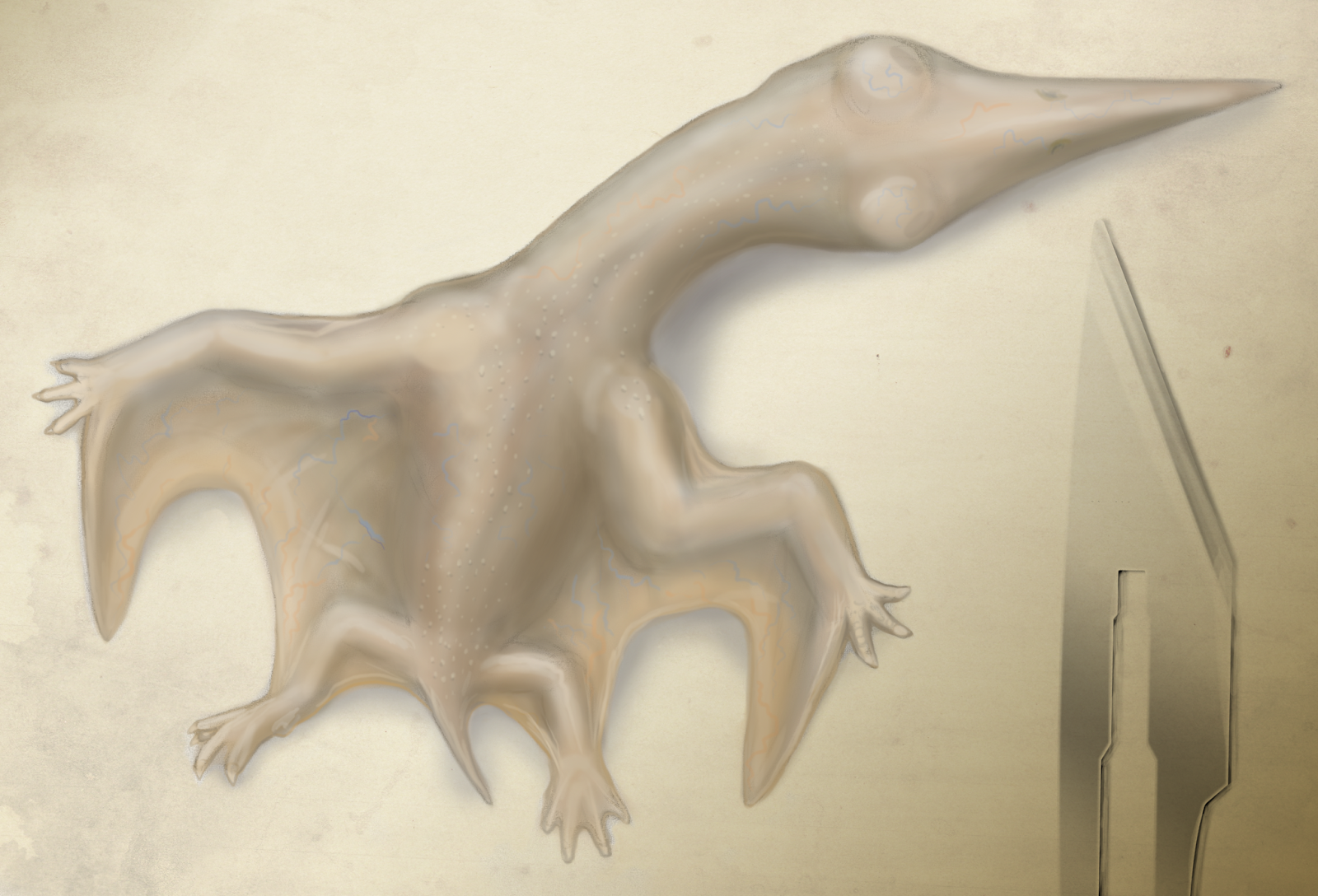 Pteroformer: Speculative Palaeoart: Pterosaur Embryos