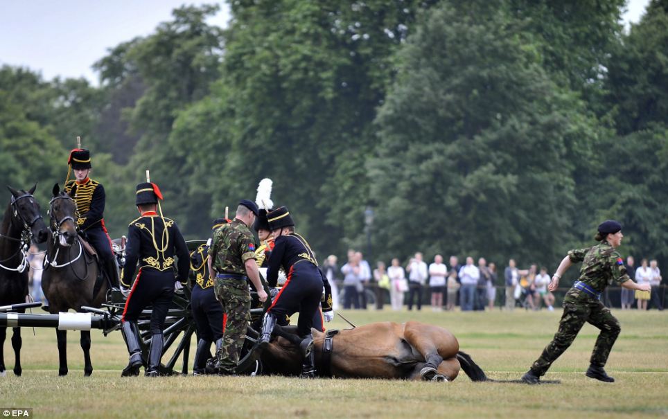 MAISHA: Farasi afa kwenye gwaride la Malkia