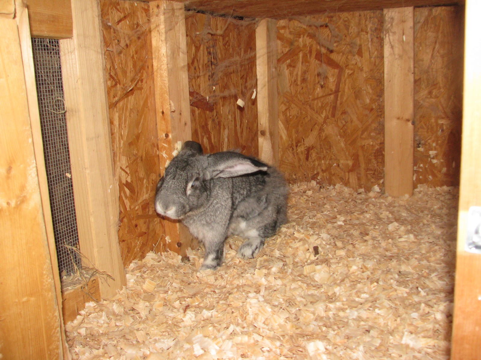 Periwinkle Farm