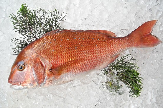 Behind the French Menu: Daurade Rose or Pagre à Points Bleus ...