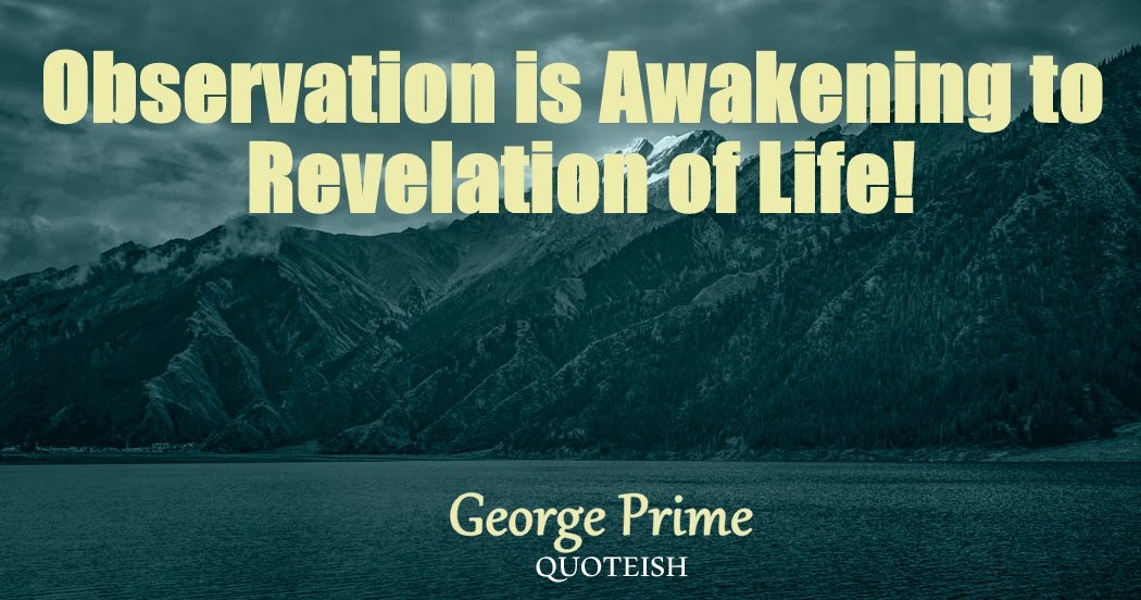 33 Deep Observation Quotes: The Art of Observation - QUOTEISH