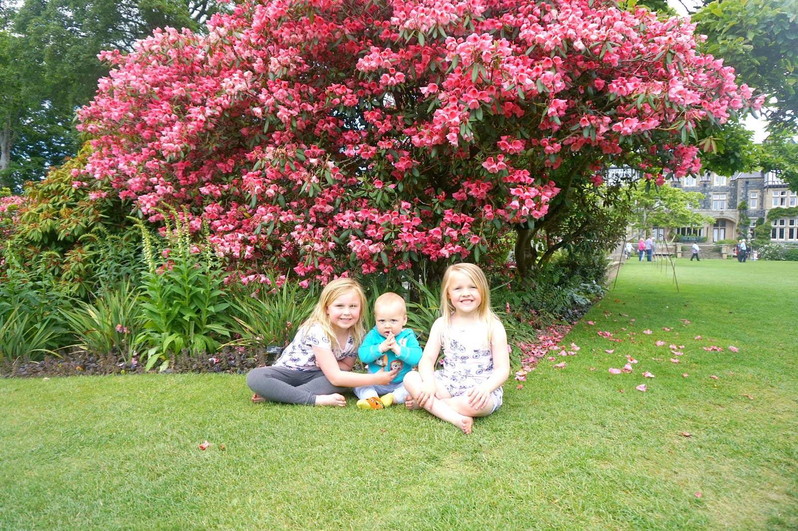 Siblings in July | Beth Owen