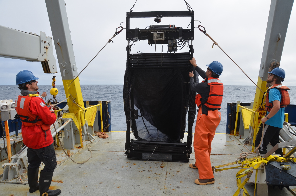 Charismatic Microfauna: Calibrating the MOCNESS Flow Meter