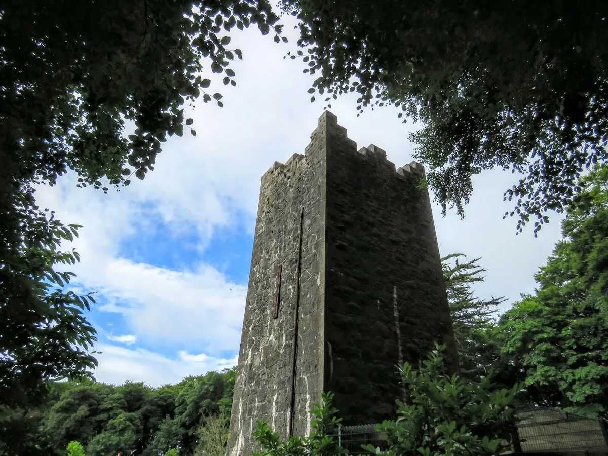 Is Mount Falcon the Best Place for a Hawk Walk in Ireland? | Sidewalk ...