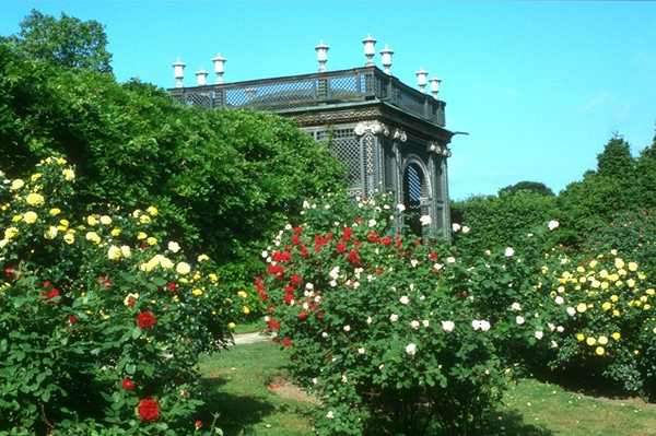 Wallpapers gardening Sinary HD - Norma Leka