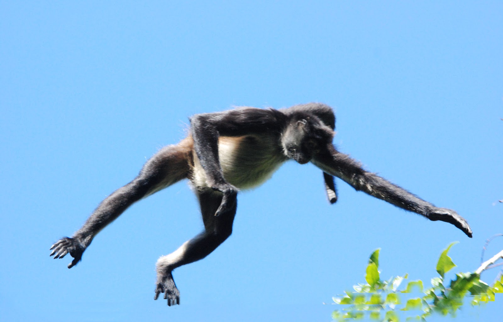 Rulon Simmons Photography