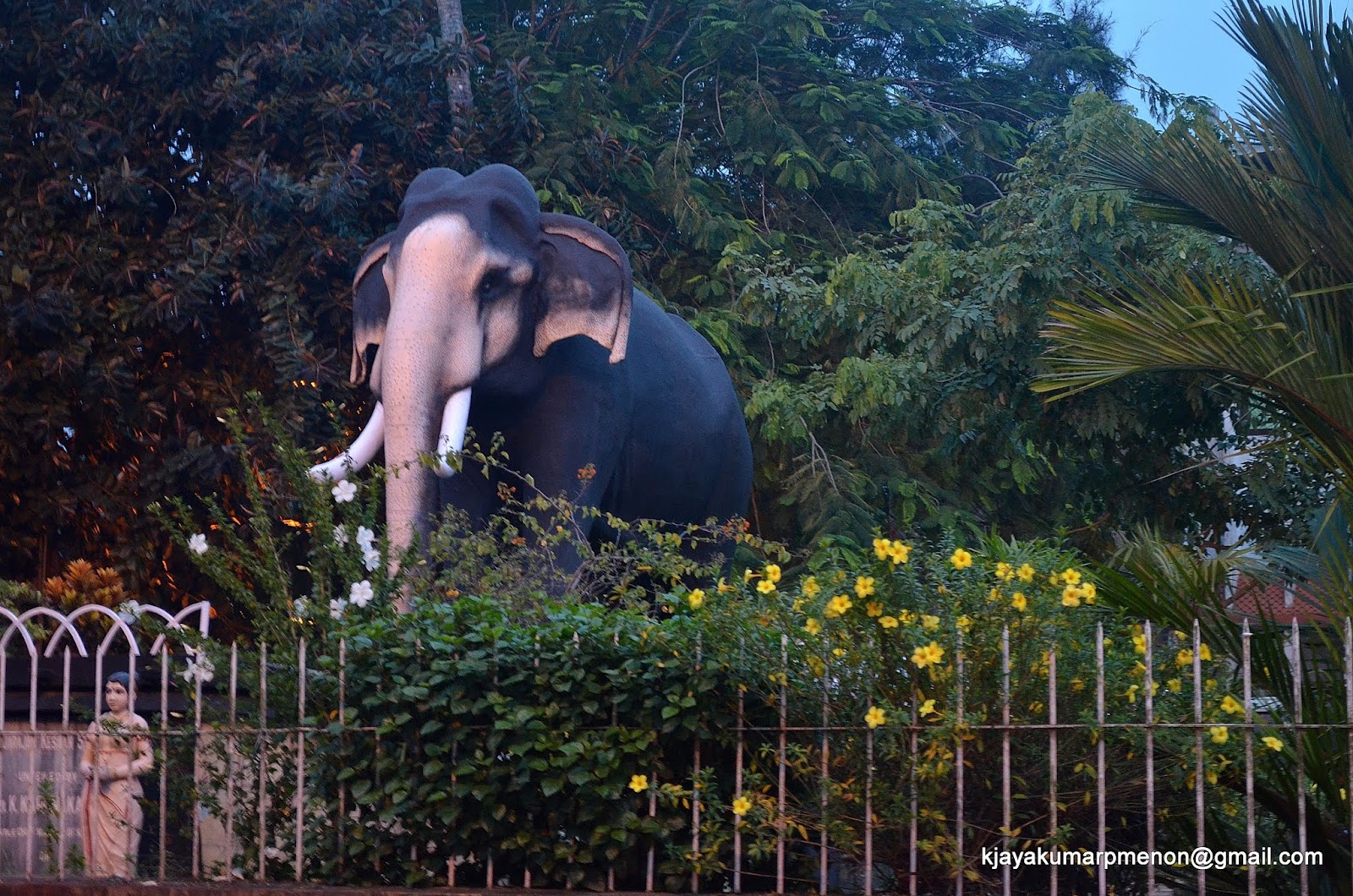 My Dreams and Journey