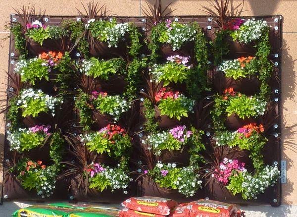 Tanaman Sehati: Cara Membuat Vertical Garden, Taman Vertikal