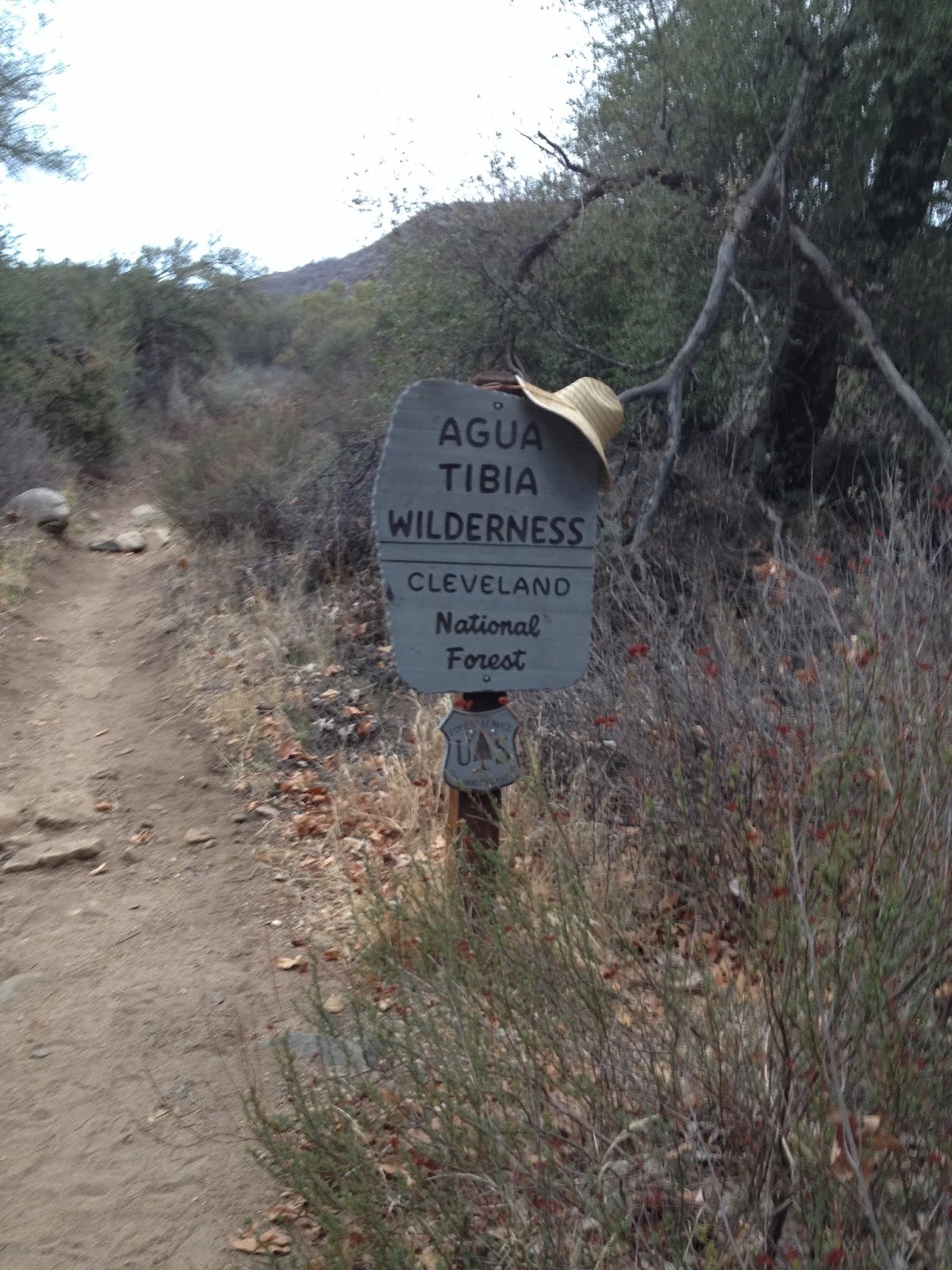 Iron Hiker: Wild Horse Peak