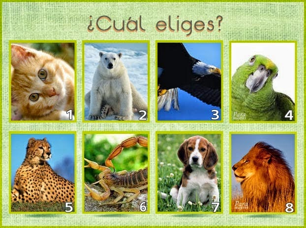 Somos Pura Energía ♡: "Test de Personalidad de los Animales".