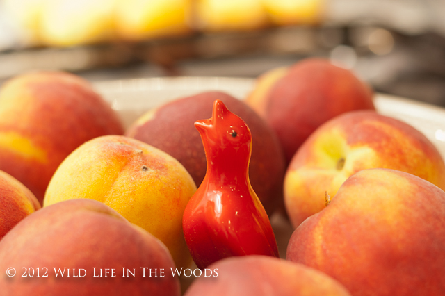 I Know Why the Caged Pie Bird Sings - That Susan Williams