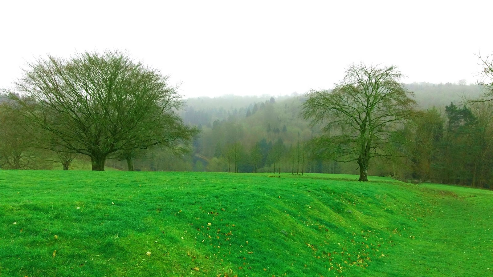 Cotswolds Travel: A Foggy Spring Round Miserden and Caudle Green