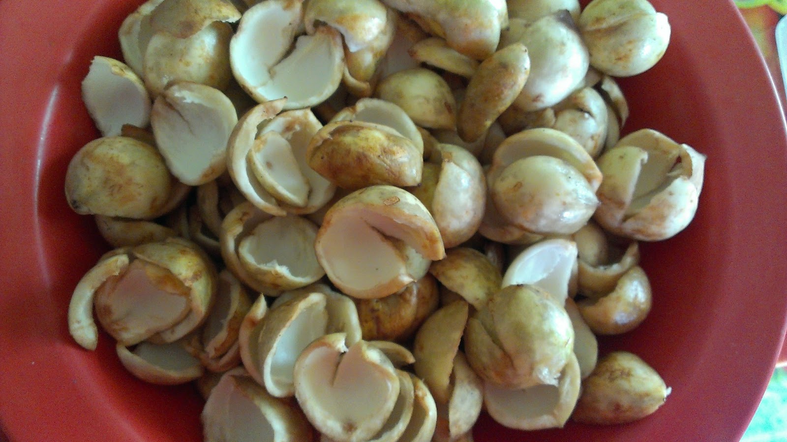 Pencinta Alam,Pemakan yang hebat Penyayang pada keluarga : Sayur Lemak ...