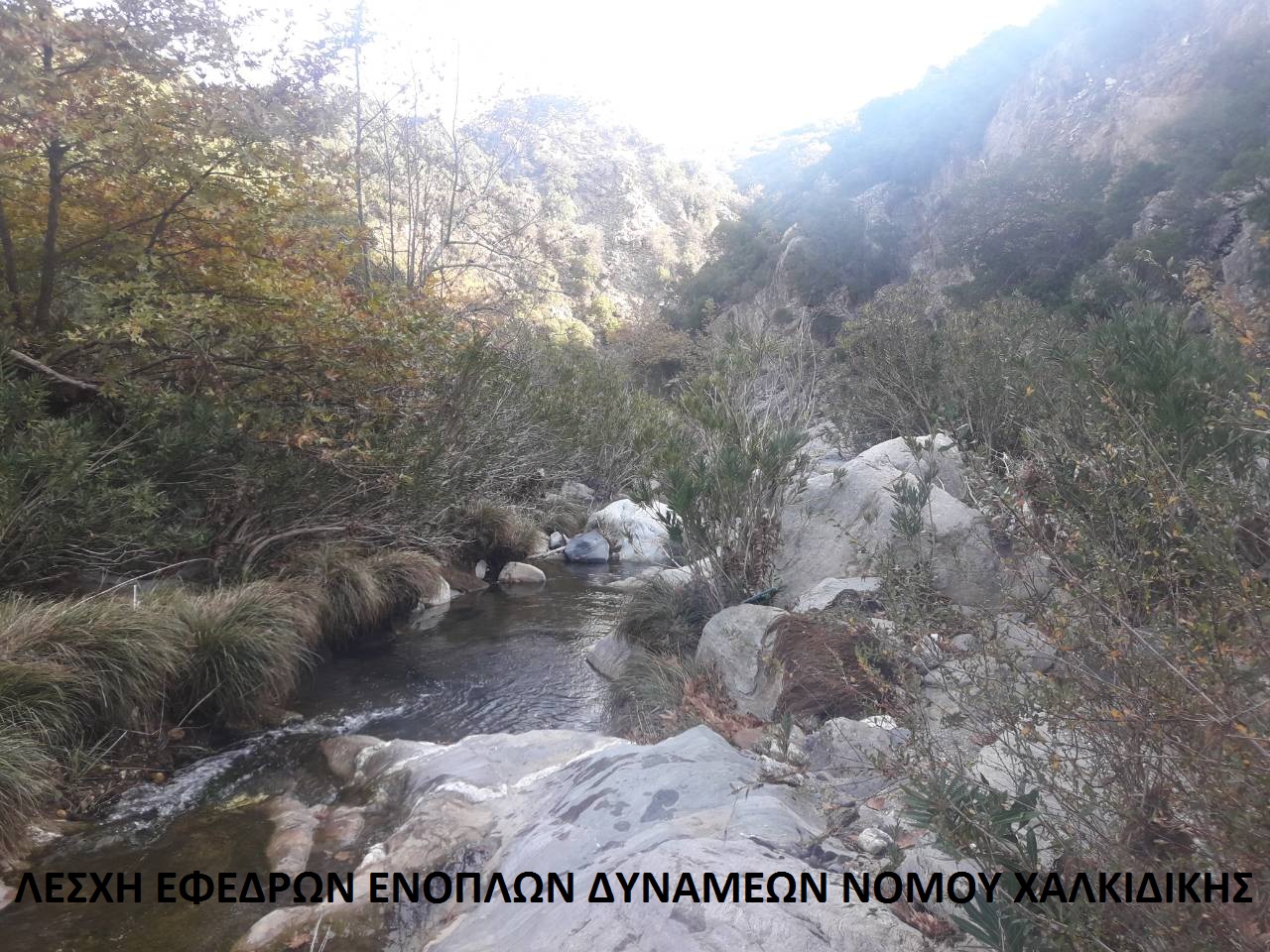 ΑΕΤΟΣ ΧΑΛΚΙΔΙΚΗΣ: ΕΚΠΑΙΔΕΥΣΗ - ΠΟΡΕΙΑ ΣΤΟΝ ΟΡΕΙΝΟ ΟΓΚΟ ΤΗΣ ΒΑΒΔΟΥ ΑΠΟ ...