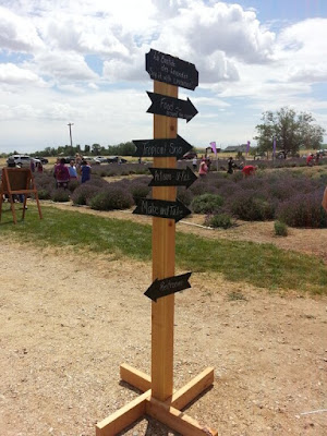 Alicia Sheehy, Author: Love Signs: Kuna Lavender Festival Sampler