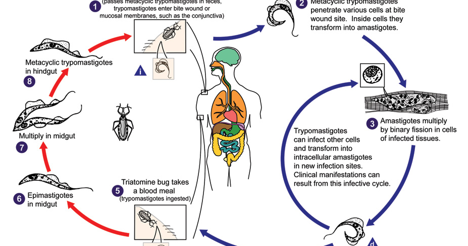 EconoSpeak: Ted Cruz's Mendacity and Calumny are Breathtaking