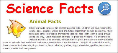 LMN Tree: Let's Go to the Zoo: Free Resources, Free Craft Ideas, and ...