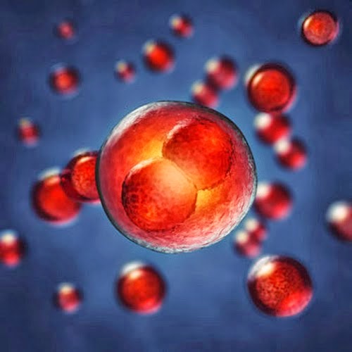 BIOTECHNOLOGY: 4. Acid Shock changes....
