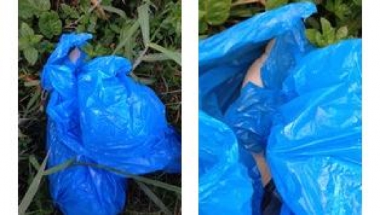 A CIDADE; O CRIME; A POLICIA E A VERDADE!: CUIDADO COM ESSA LOURA ...