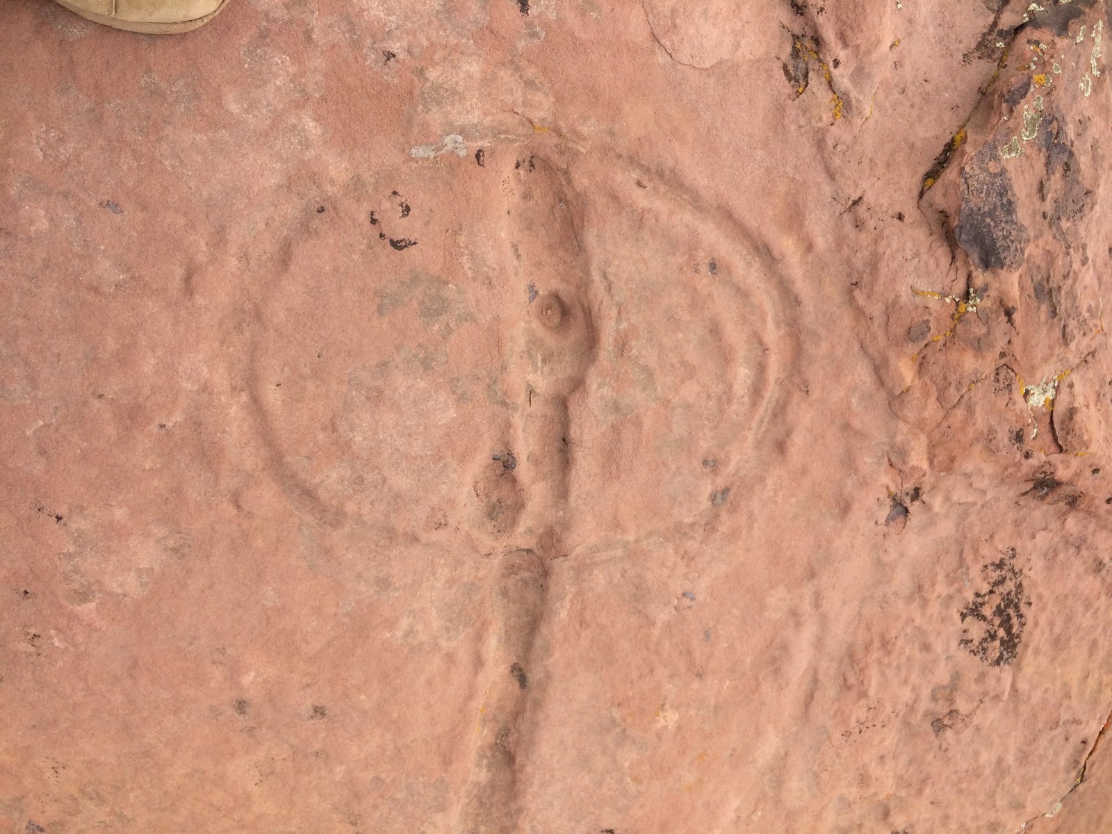 Oddities Curios and Other repressed Emotions: Water Glyphs