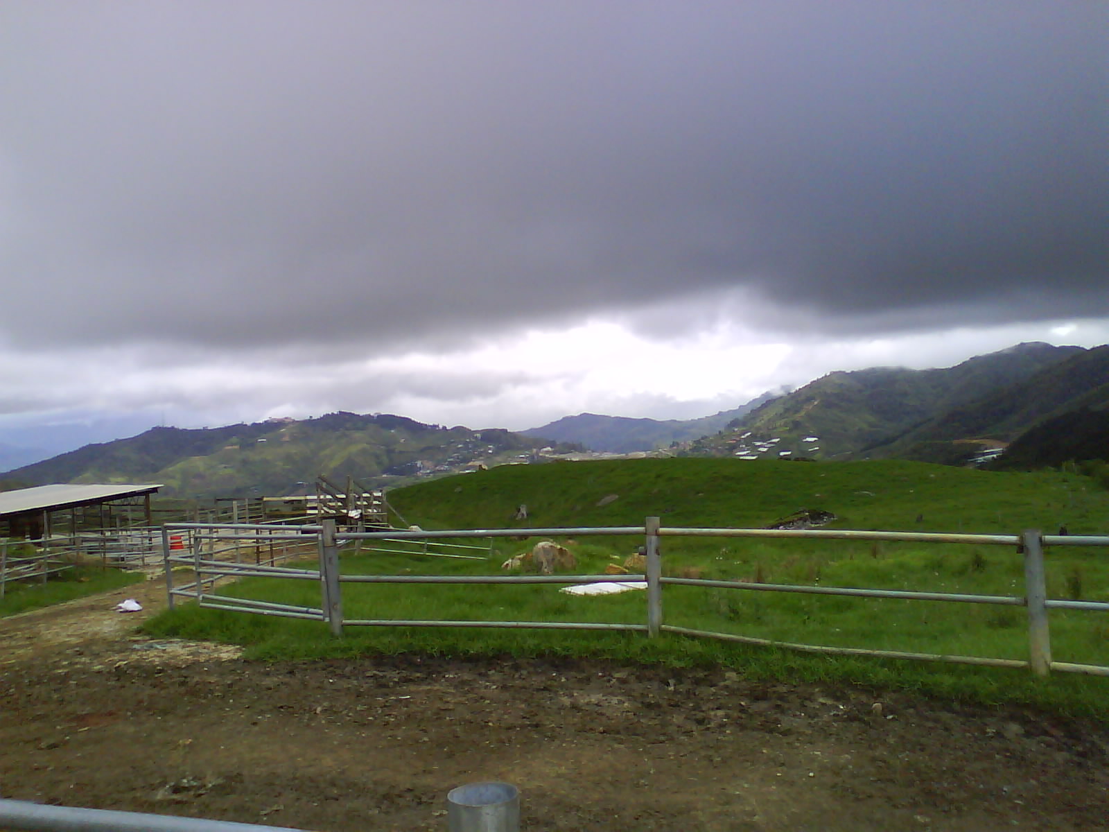 D'Siringwalai: Ladang Ternakan Lembu Masilau