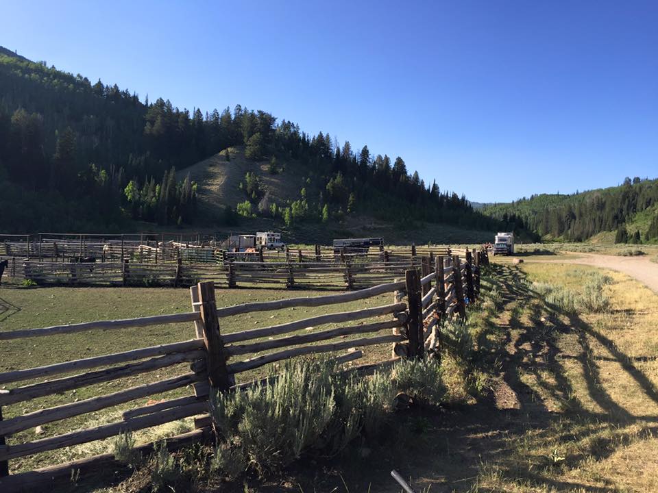 Dream Packer Trail Adventures: Strawberry Creek, Utah