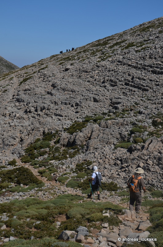 EXPLORE MOUNTAINS: ΣΤΗΝ ΚΟΡΥΦΗ ΤΗΣ ΚΡΗΤΗΣ (ΤΙΜΙΟΣ ΣΤΑΥΡΟΣ ΨΗΛΟΡΕΙΤΗ ...