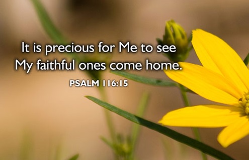 IMMANUEL GOD WITH US: It is precious for Me to see My faithful ones ...
