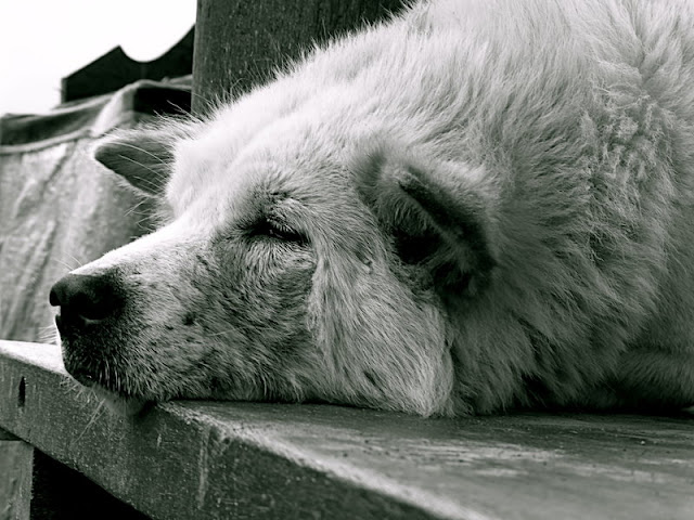 Bali Media Info: Bali Bali Blogger Photo Of The Month July 2013