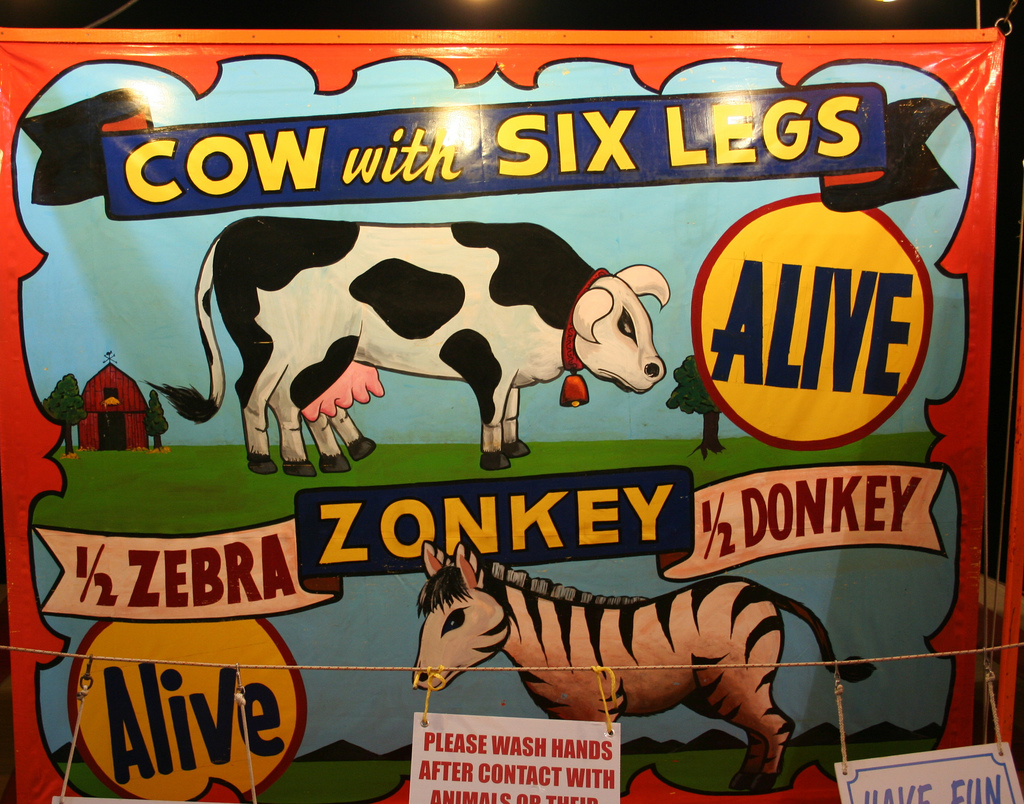 The Carpetbagger: The Modern Day Freak Show