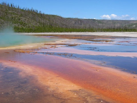 GOING ON ADVENTURES: Yellowstone's bright colored hot springs explained