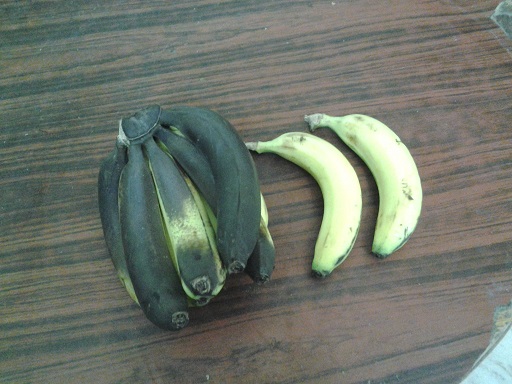 Safety Thoughts, News and Information: Sun burns on banana - Banana ...