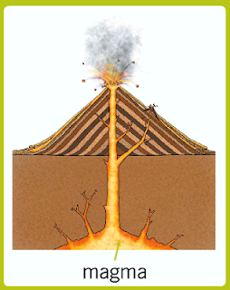 Mi primer año en Red XXI: marzo 2014