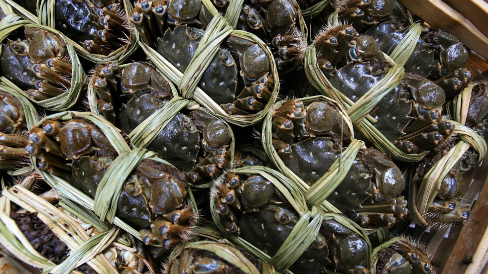 Crab Export from India - Mud Crab Exporters, Mud Crab Manufacturers ...