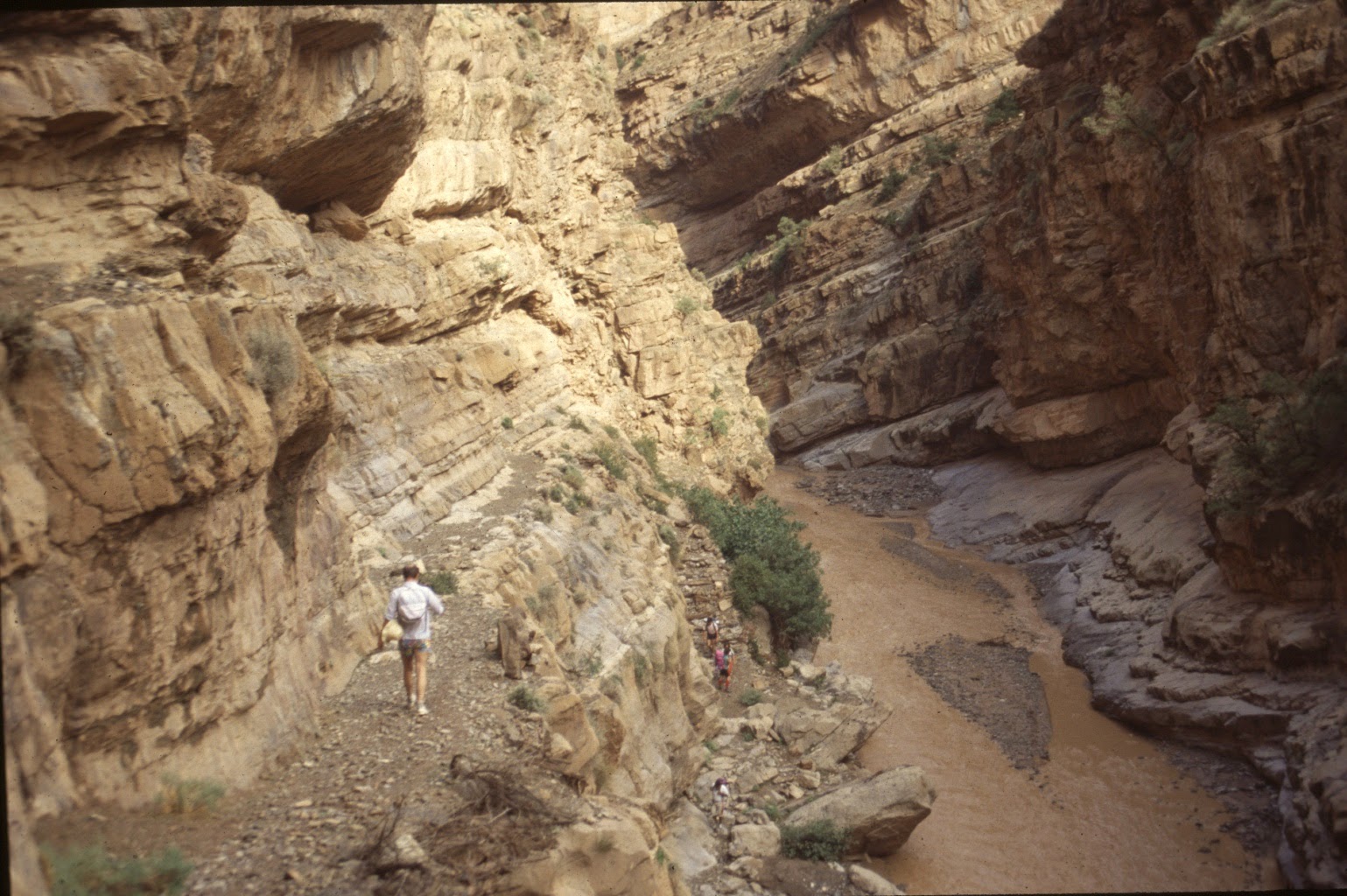 Trekking Randonnée Maroc: Les gorges du Mgoun
