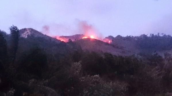 Askrie Hishamuddin: GAMBAR Cantiknya Bukit Broga Selepas Terbakar!