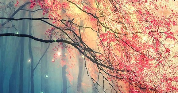 Cherry Trees Wallpaper Engine