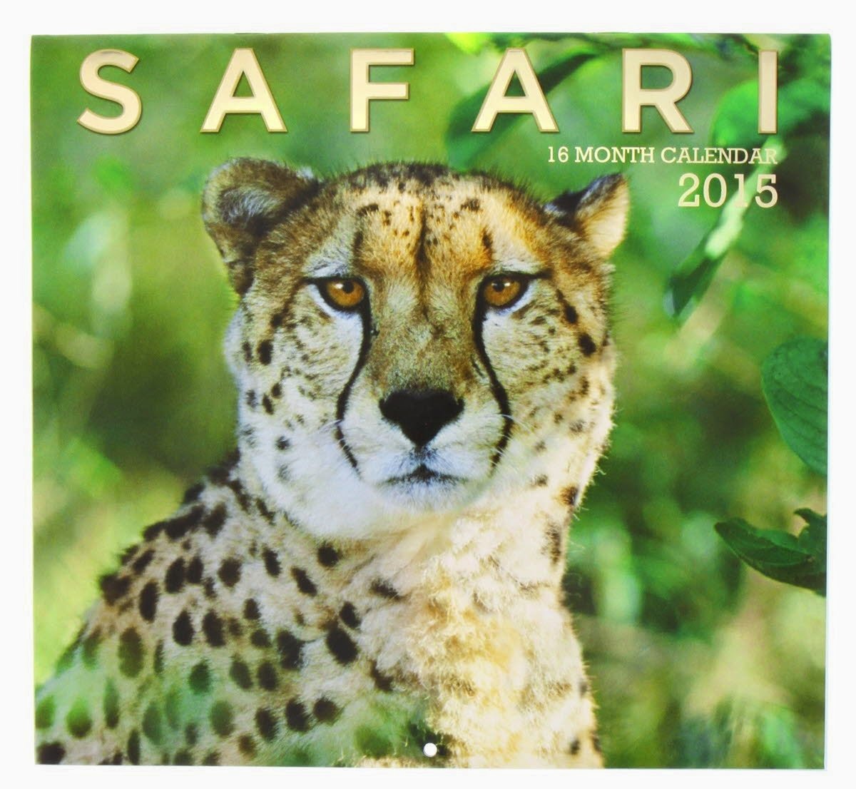 16 Month Safari Design - 2015 Wall Calendar | Best Calendars for 2016