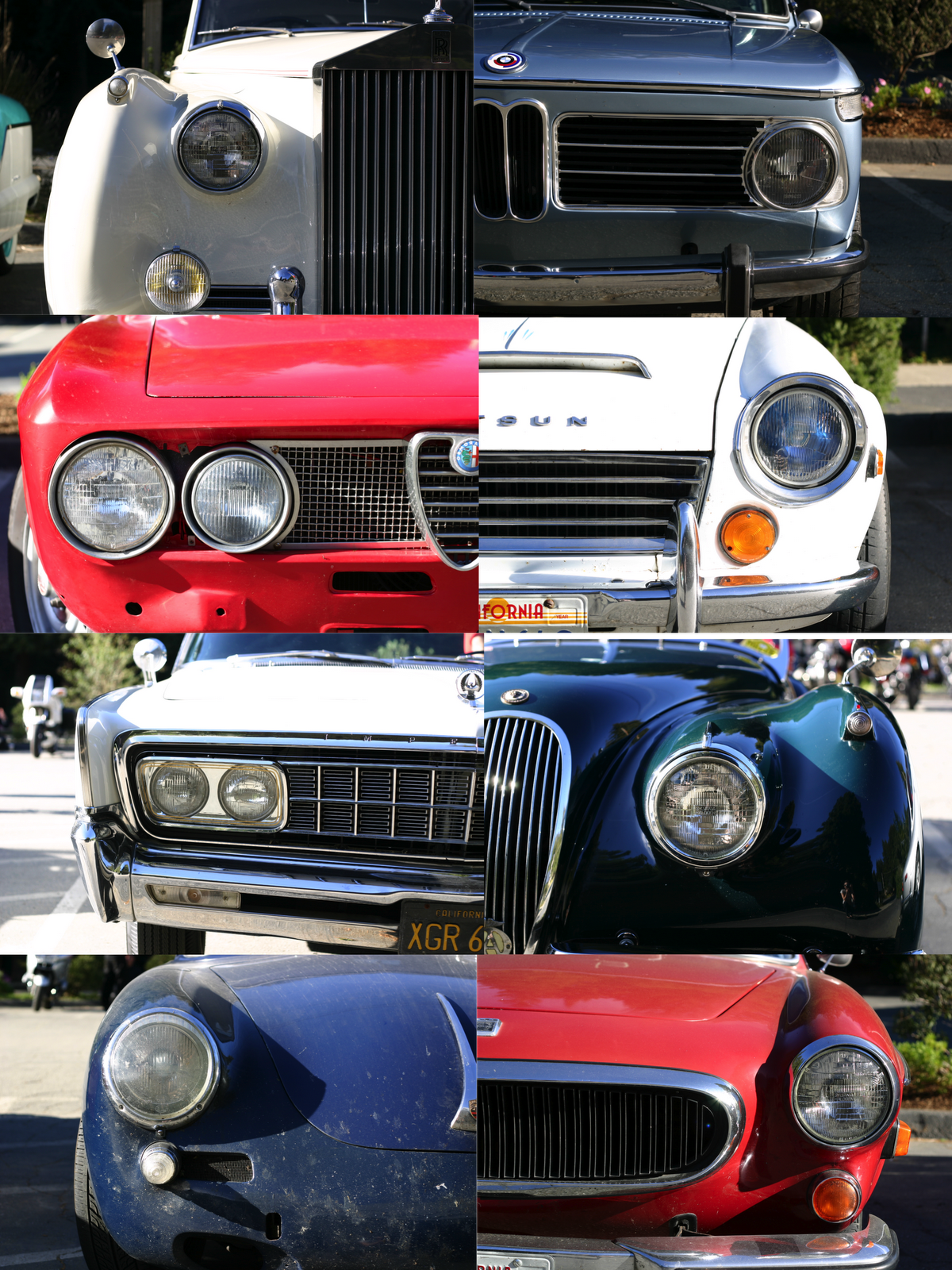 In Print: Working Title: Alpha Son