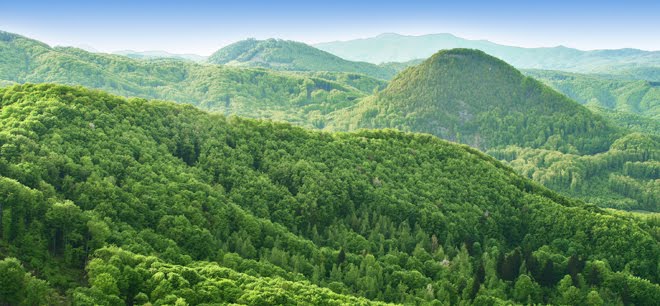 William Kituuka Kiwanuka: IS IT WORTH CELEBRATING WORLD ENVIRONMENT DAY ...