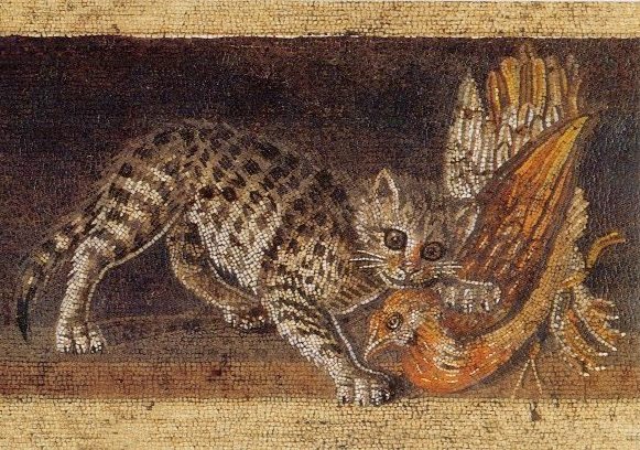El Gato con Arte: ANONIMO. MOSAICO GATO CAZANDO UN AVE