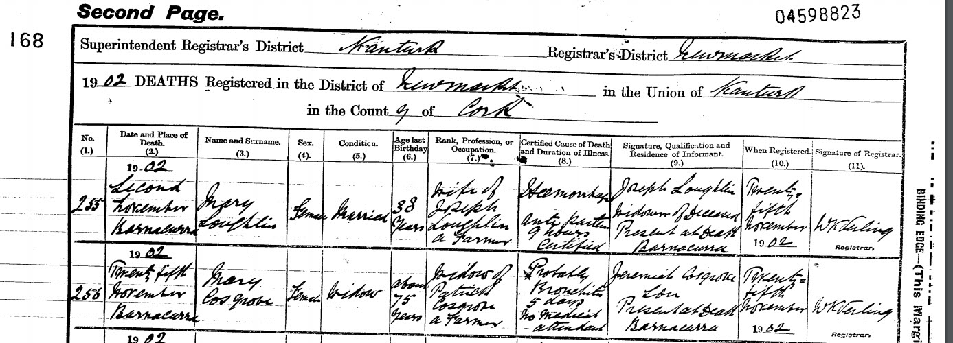 Careful With That Axe, Eugene: My Great Grandfather Joseph O'Loughlin #64