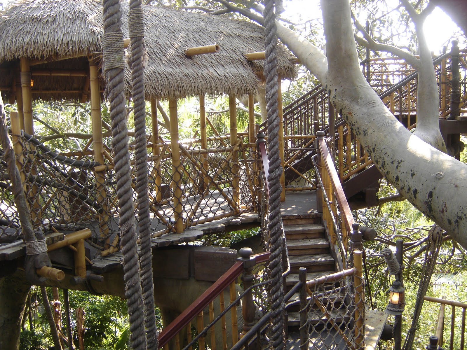 Disney Vacation Kingdom: Swiss Family Robinson Treehouse