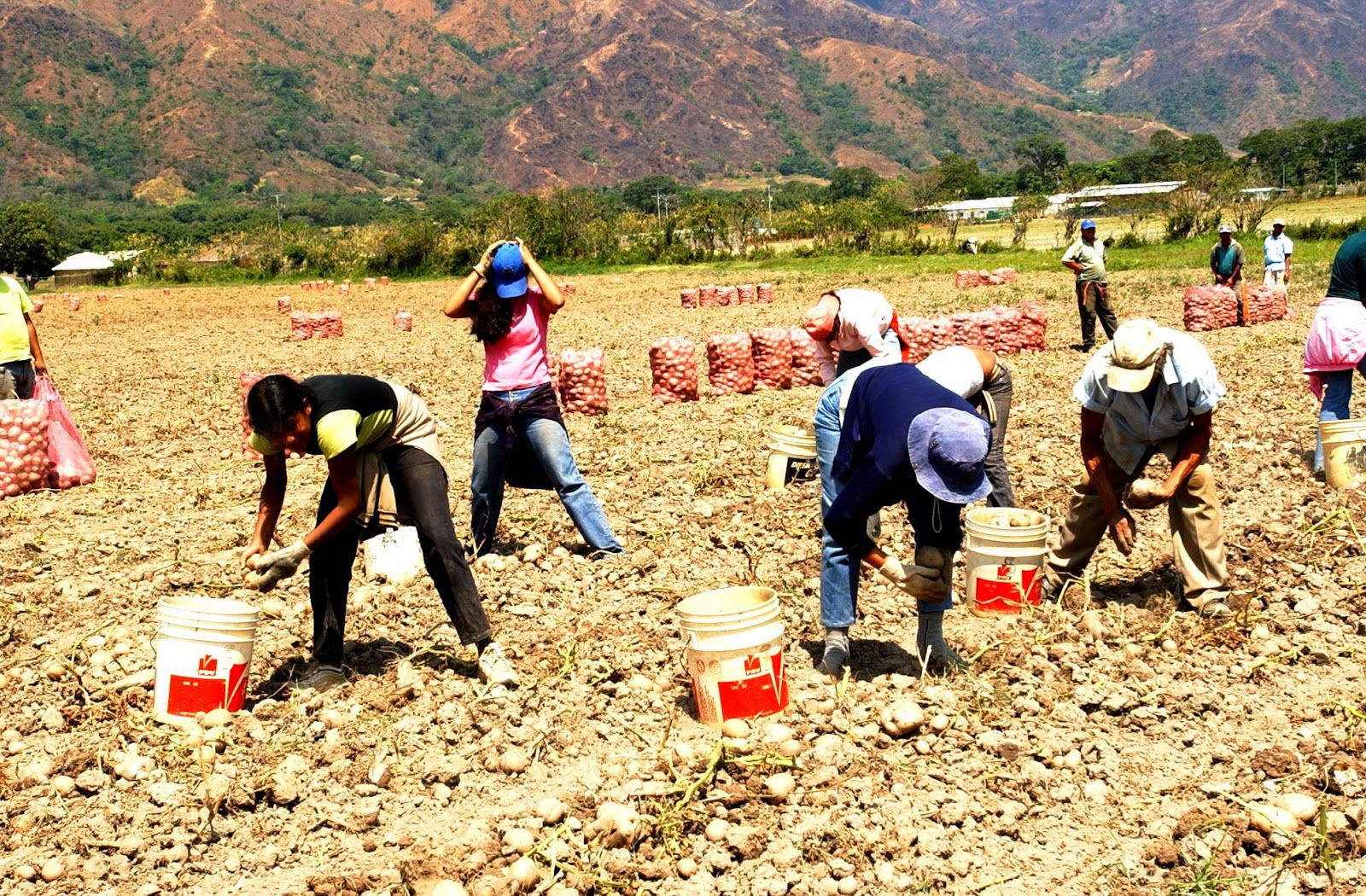 Bejuma al día...: VISTA DEL OCCIDENTE DE CARABOBO