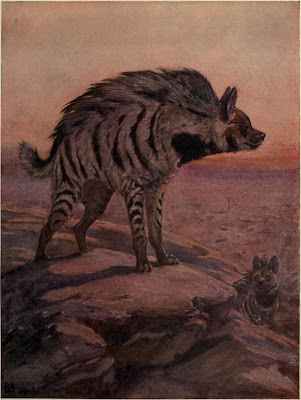 Telecanter's Receding Rules: March 2011