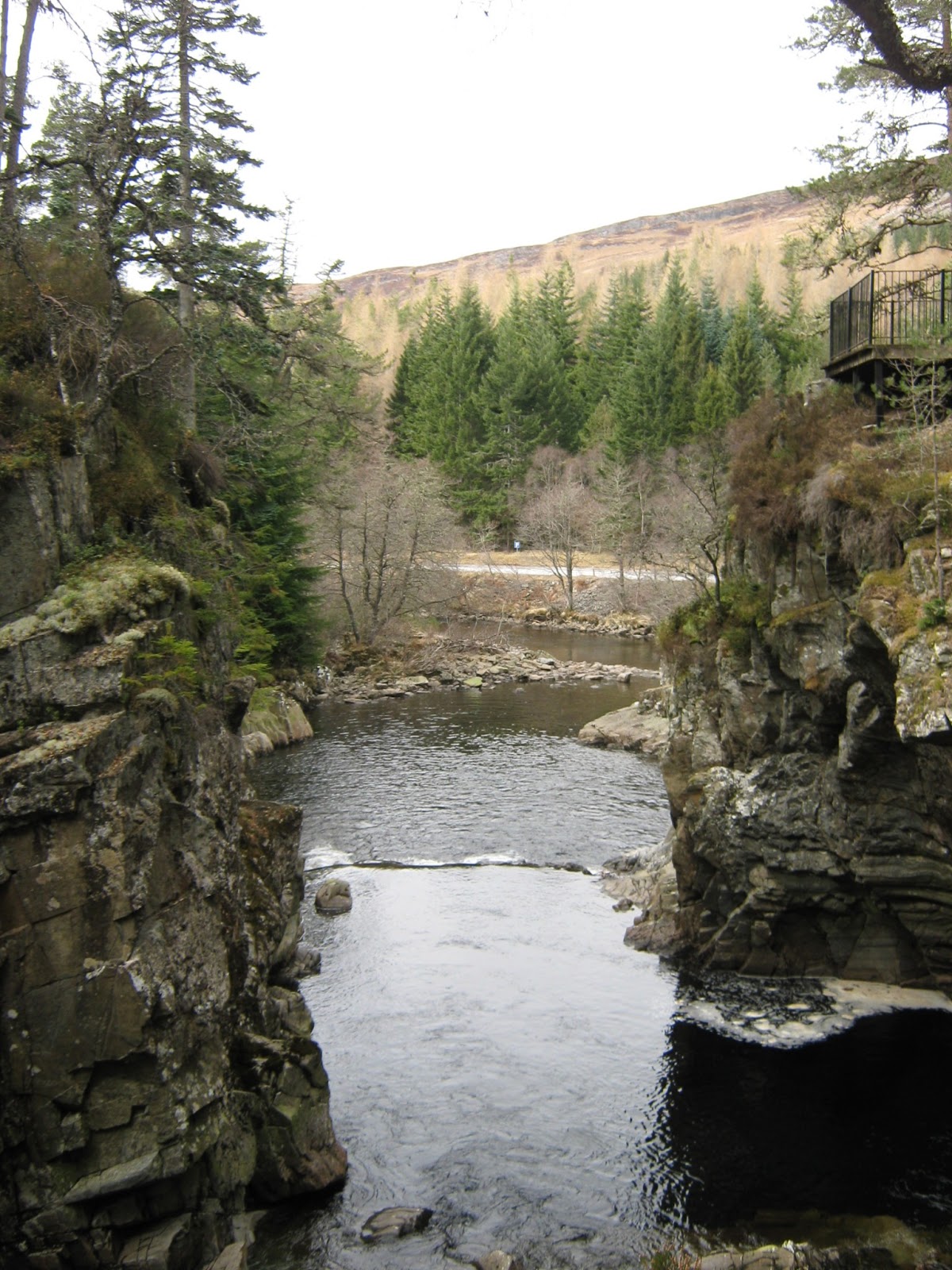 Sab's Random Blog: Craigellachie Nature Reserve and Pattack Falls
